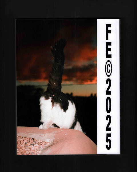 Christian: Christian Michael Filardo – FRIEND EDITIONS